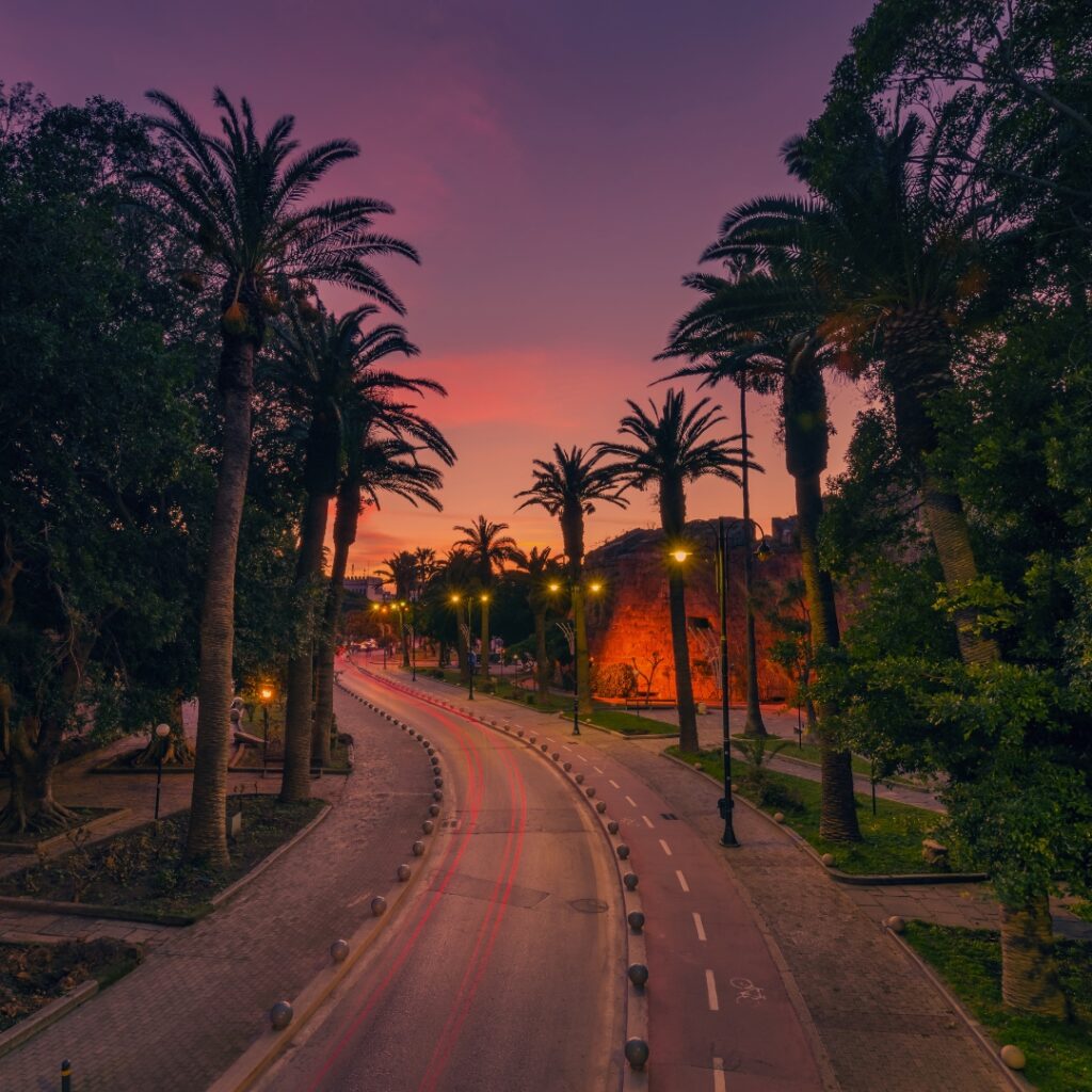 Discover D1 | Group and Private Tours in Rhodes, Crete, Kos & Corfu